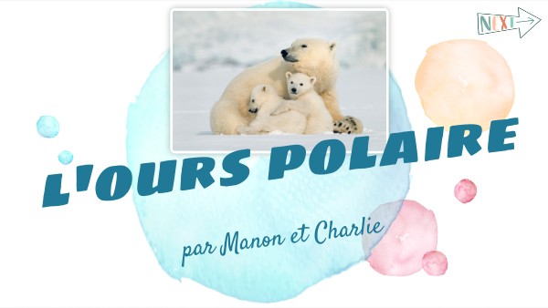 L'ours Polaire | Genially