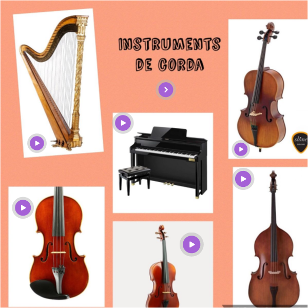 Instruments de corda