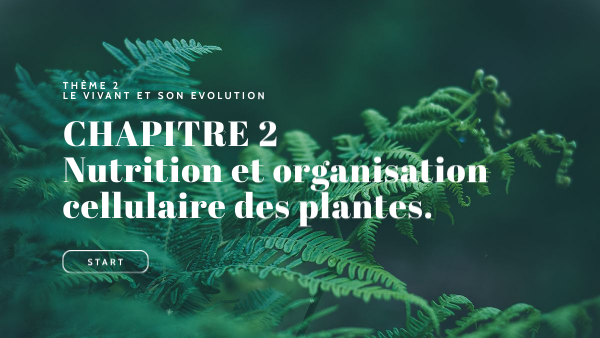 4°T2C2_ACTIVITES | Genially