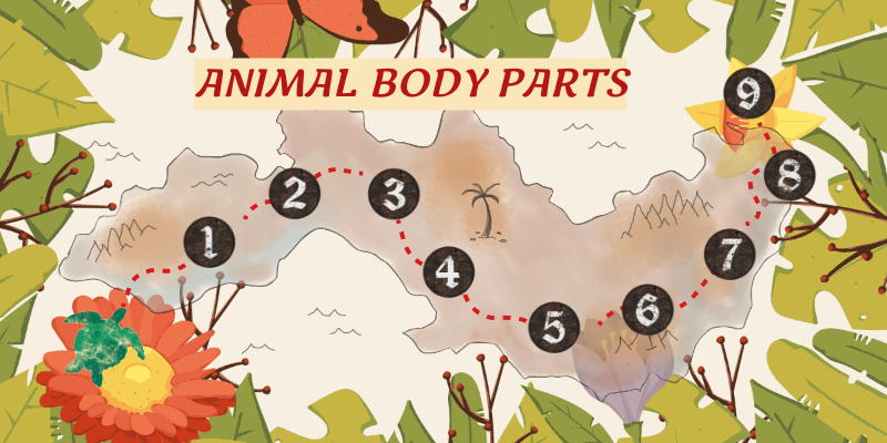 3º ANIMAL BODY PARTS | Genially