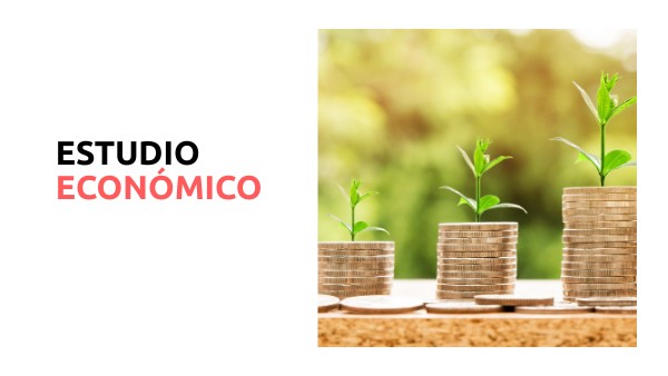4 fepi estudio economico