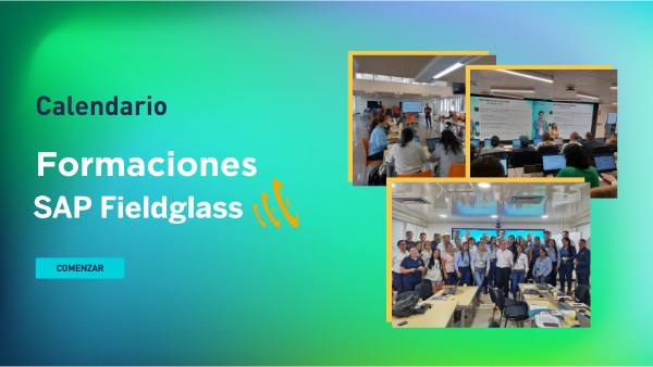 Cronograma Fieldglass | Genially