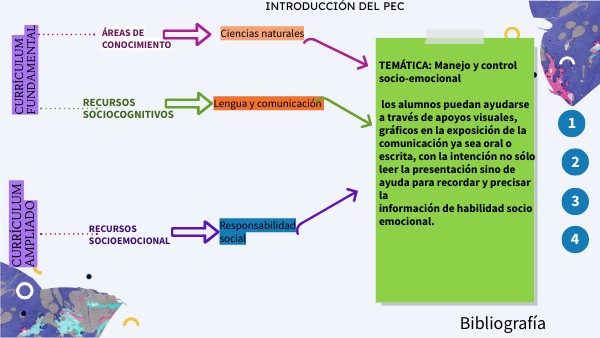 Actividad 19. Introducción del PEC (Infografía) | Genially