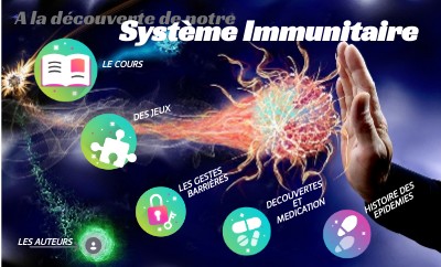 Système immunitaire