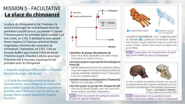 MISSION 5 PDT évolution