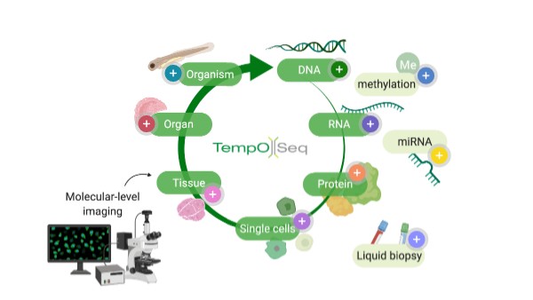 TempO-Seq Universe | Genially