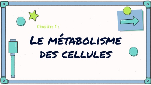 Le métabolisme des cellules