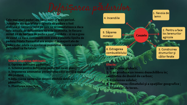 Defrișasrea pădurilor | Genially