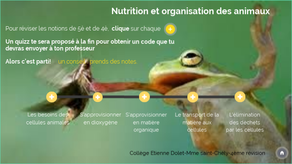 VF-Nutrition des animaux | Genially