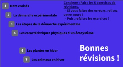 Révisions 6e T2 Ch3 Ch4 + démarche exp | Genially