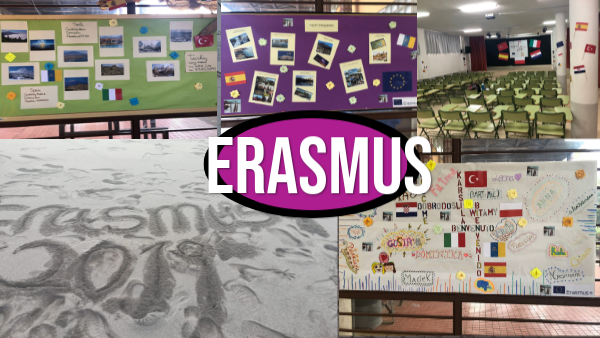 Erasmus project