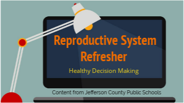 Puberty and Reproductive System