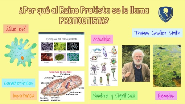 ¿Por qué al Reino Protista se le llama PROTOCTISTA? | Genially
