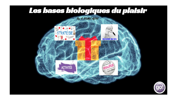TP 18 Les bases biologiques du plaisir | Genially