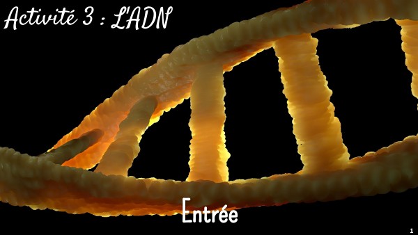 Copie - L'ADN | Genially