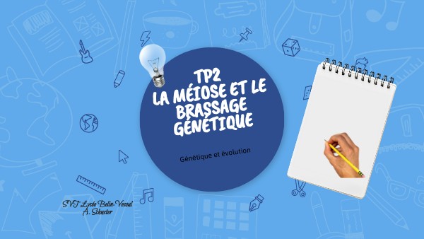 Tspe TP2 méiose et brassage génétique A. Schuster Lyc Belin | Genially