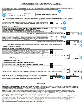 Déclaration de la TVH - Exemple | Genially