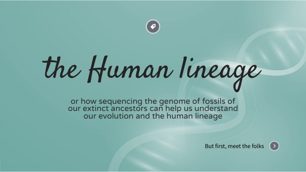 Human lineage