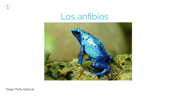 Los anfibios | Genially