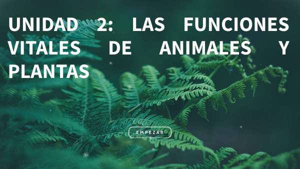 UF 2: Funciones vitales animales y plantas | Genially