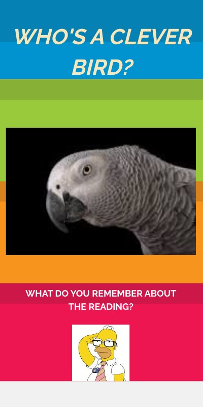 READING-WHOSE A CLEVER BIRD?