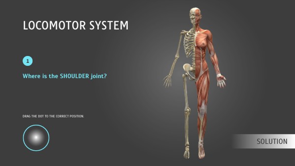 LOCOMOTOR SYSTEM | Genially