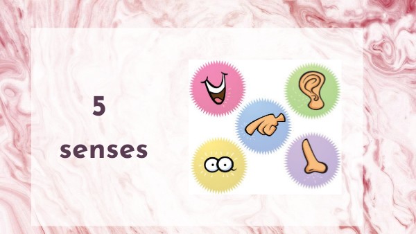 FIVE senses | Genially