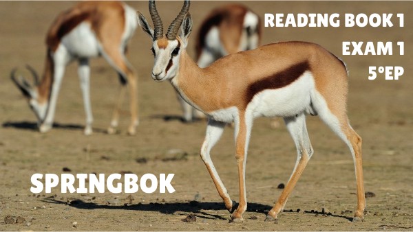 5º EP BOOK 1 EXAM 1 SPRINGBOK | Genially