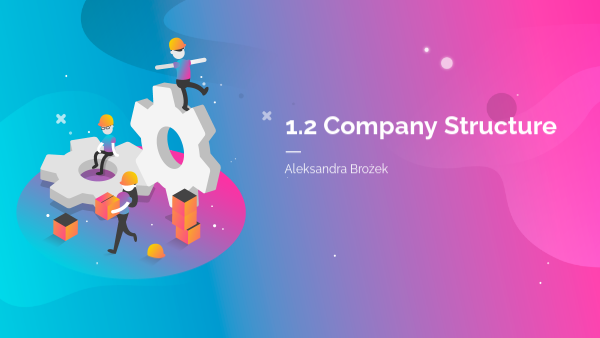 MSz TB B1 1.3 Company Structure