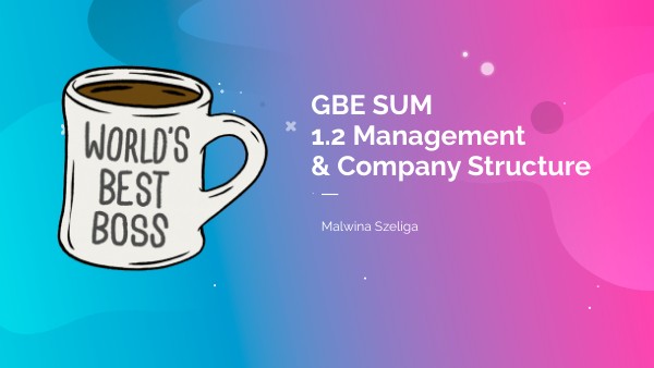 MSz GBE SUM 1.2 Management, Company structure