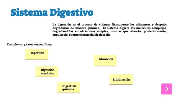 Sistema digestivo | Genially
