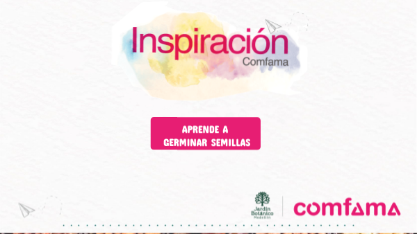 Semillas en casa | Genially