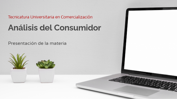 1034-3-M20 Analisis del Consumidor | Genially