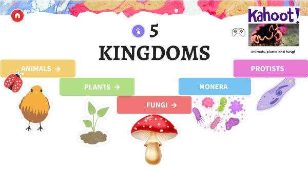 Project 1: 5 Kingdoms | Genially