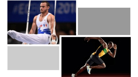 Chapitre 1 - Fonctionnement de l'organisme et effort physique