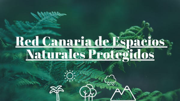 ESPACIOS PROTEGIDOS DE CANARIAS