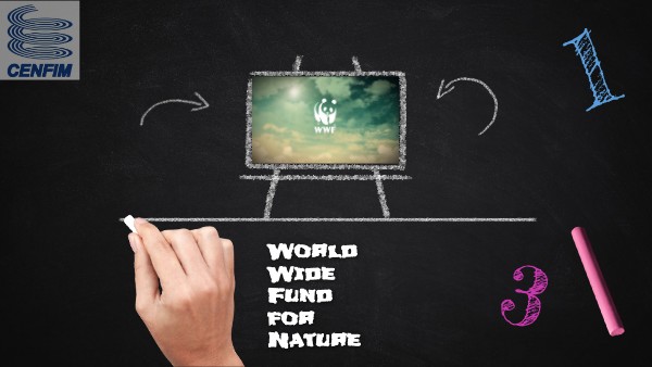 wwf presentation | Genially