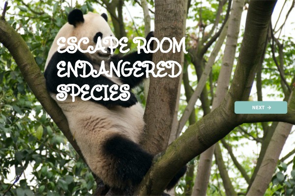 ENDANGERED ANIMALS ESCAPE ROOM | Genially