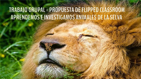 UNA PROPUESTA DE FLIPPED CLASSROOM | Genially