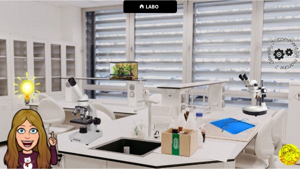 La respiration du criquet_OK | Genially