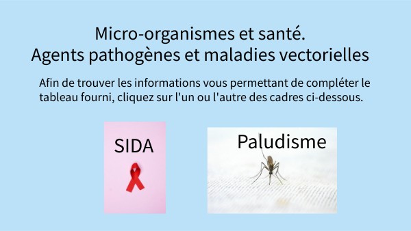 Vidéos Sida - Paludisme