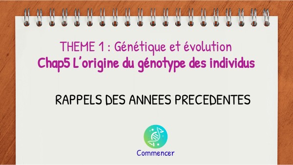 Term spé - exercices génétique | Genially