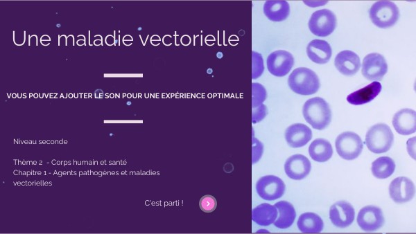 Snd: Agents pathogènes et maladies vectorielles | Genially