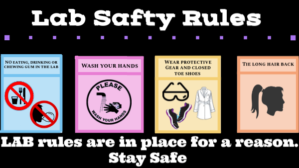 lab Safety | Genially