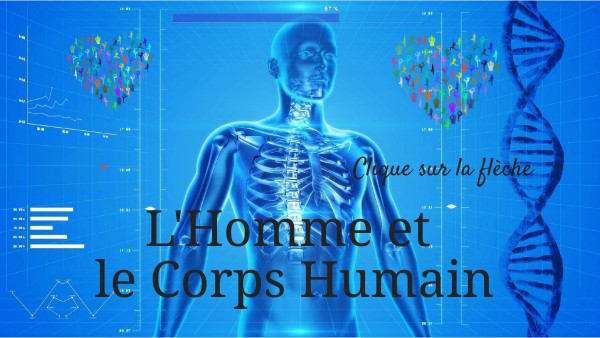 L'Homme et Le Corps Humain | Genially