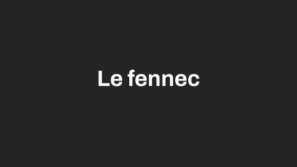 le fennec