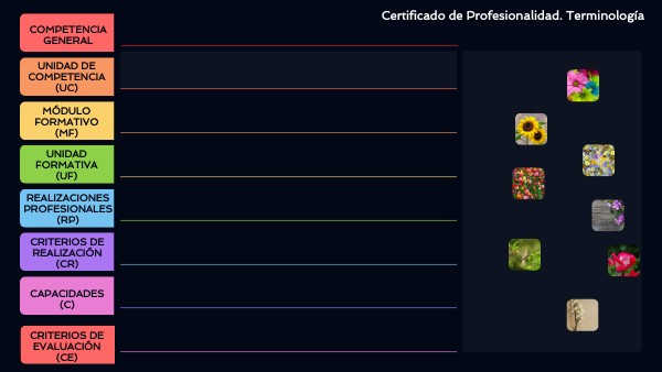 CERTIFICADOS DE PROFESIONALIDAD | Genially
