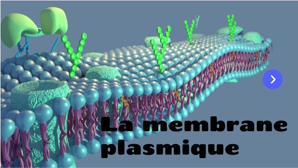 Copie - La membrane plasmique