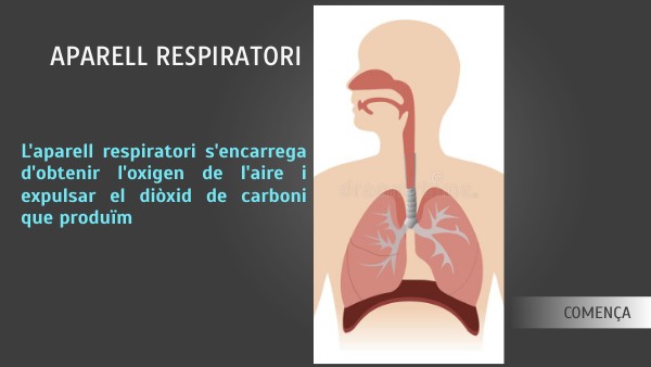 RESPIRATORI