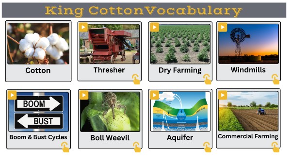 7 Social Studies - KIng Cotton Vocabulary